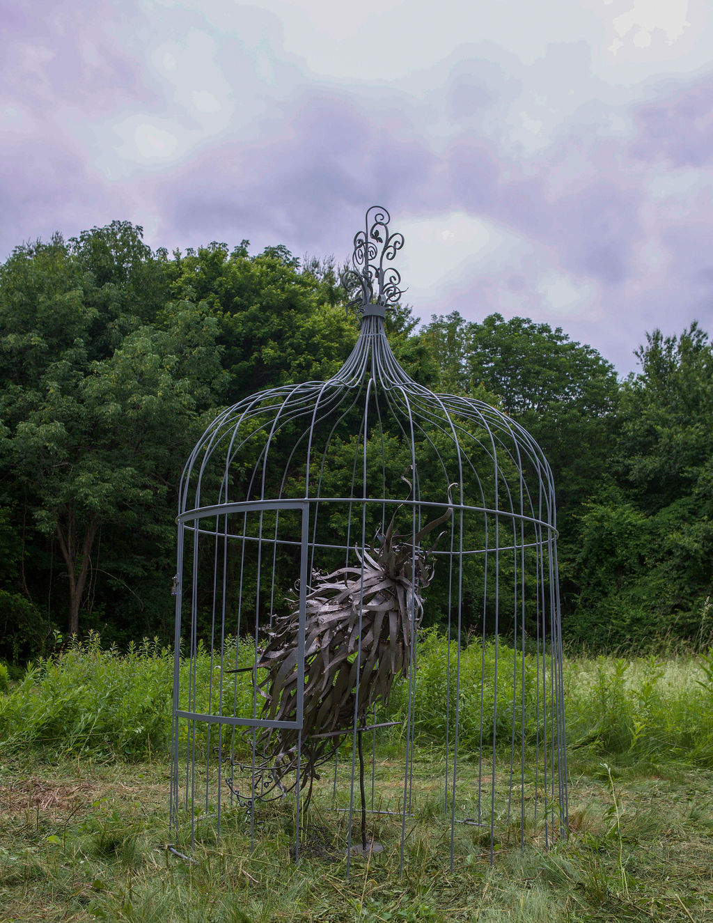 I’m Here, Still Here – Sarah Alexander – Art on the Trails